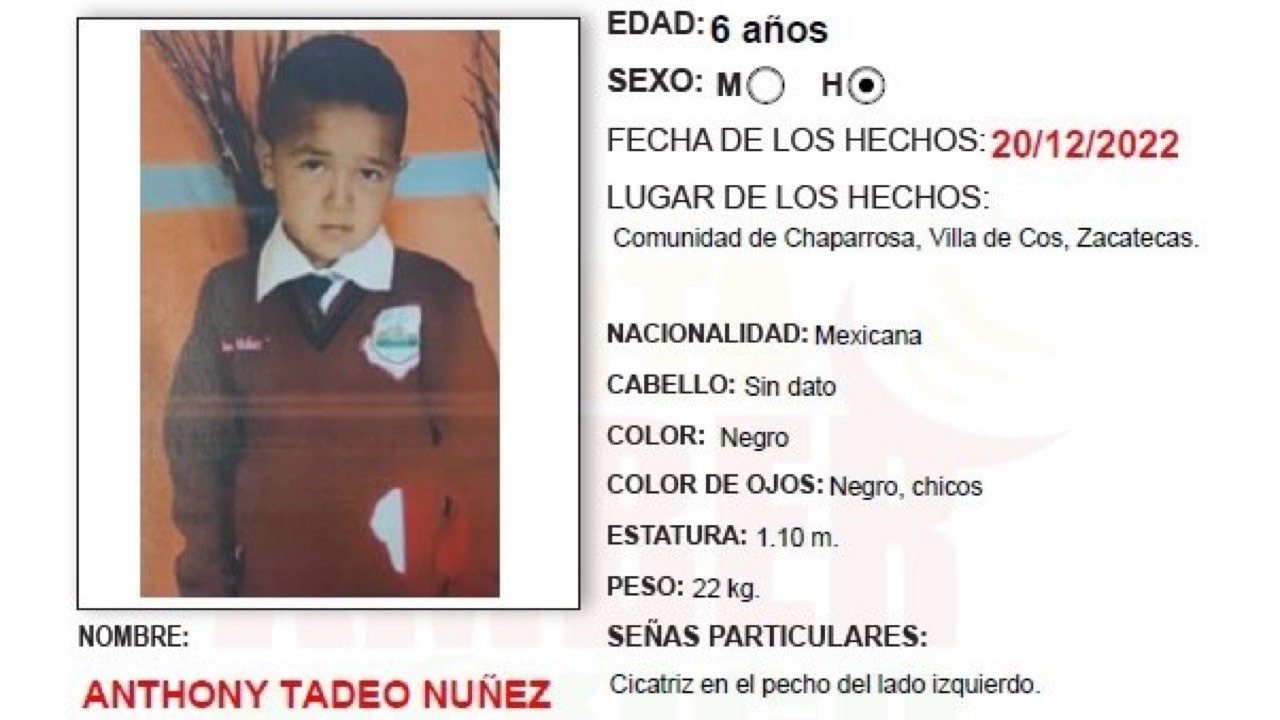 En Zacatecas hallan con vida a niño Tadeo, de seis años; llevaba más de ...