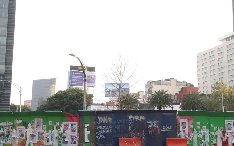 Nuevo ahuehuete será plantado a mediados de mayo en la Glorieta de ...