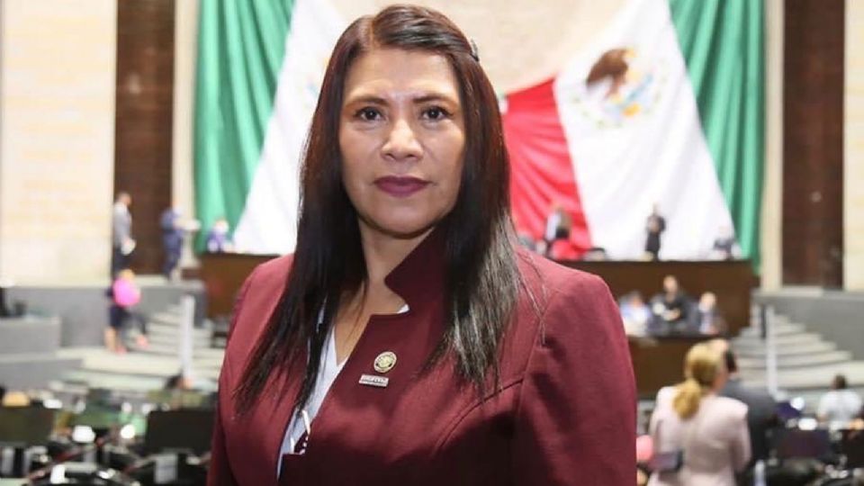 Adela Ramos, diputada de Morena en desacuerdo con la distribución de ...