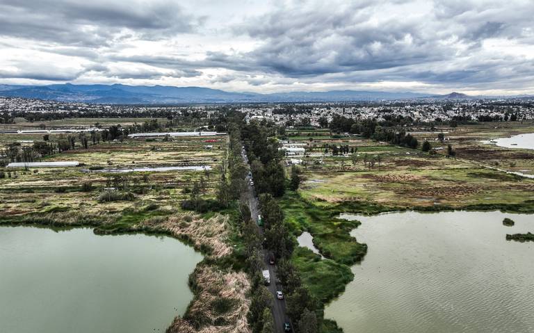 Xico será la nueva reserva protegida de la CDMX (nota de Manuel Cosme ...