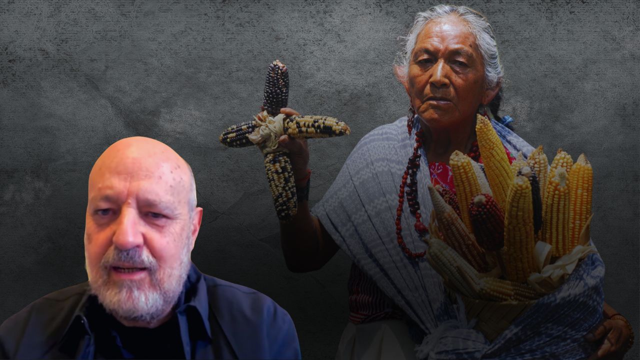 Riqueza maicera de México en peligro por transgénicos: Luis Hernández ...