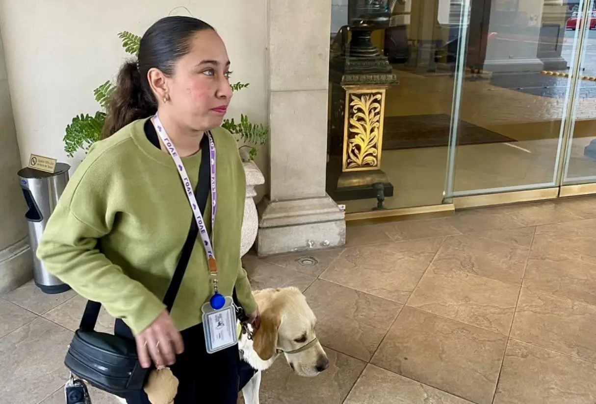 "Odín no es una mascota": Mujer denuncia discriminación en lujoso hotel ...