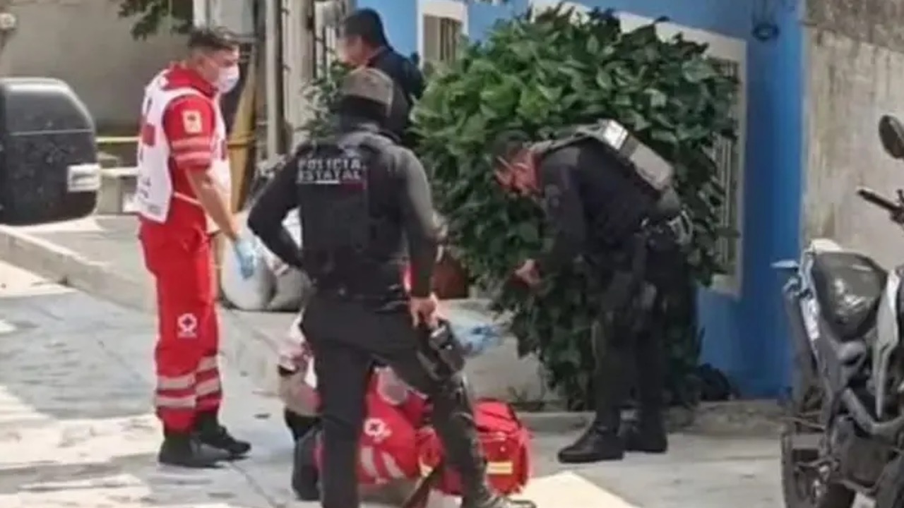 Macabro hallazgo: perro juega con brazo humano en calles de Tlaquepaque ...